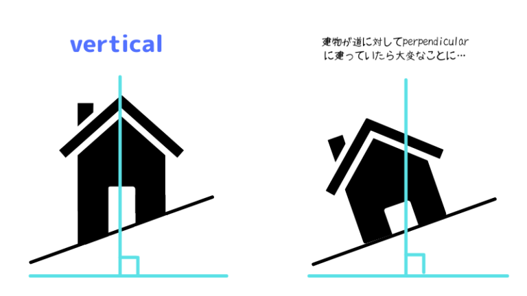 「垂直」verticalとperpendicularの違いは？